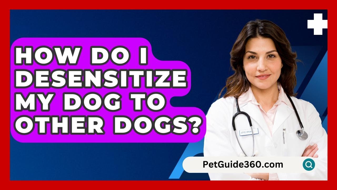 How Do I Desensitize My Dog To Other Dogs? - PetGuide360.com - YouTube