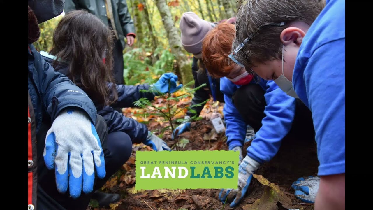 Land Labs Climate Resilient Forest, 2021-22 - YouTube