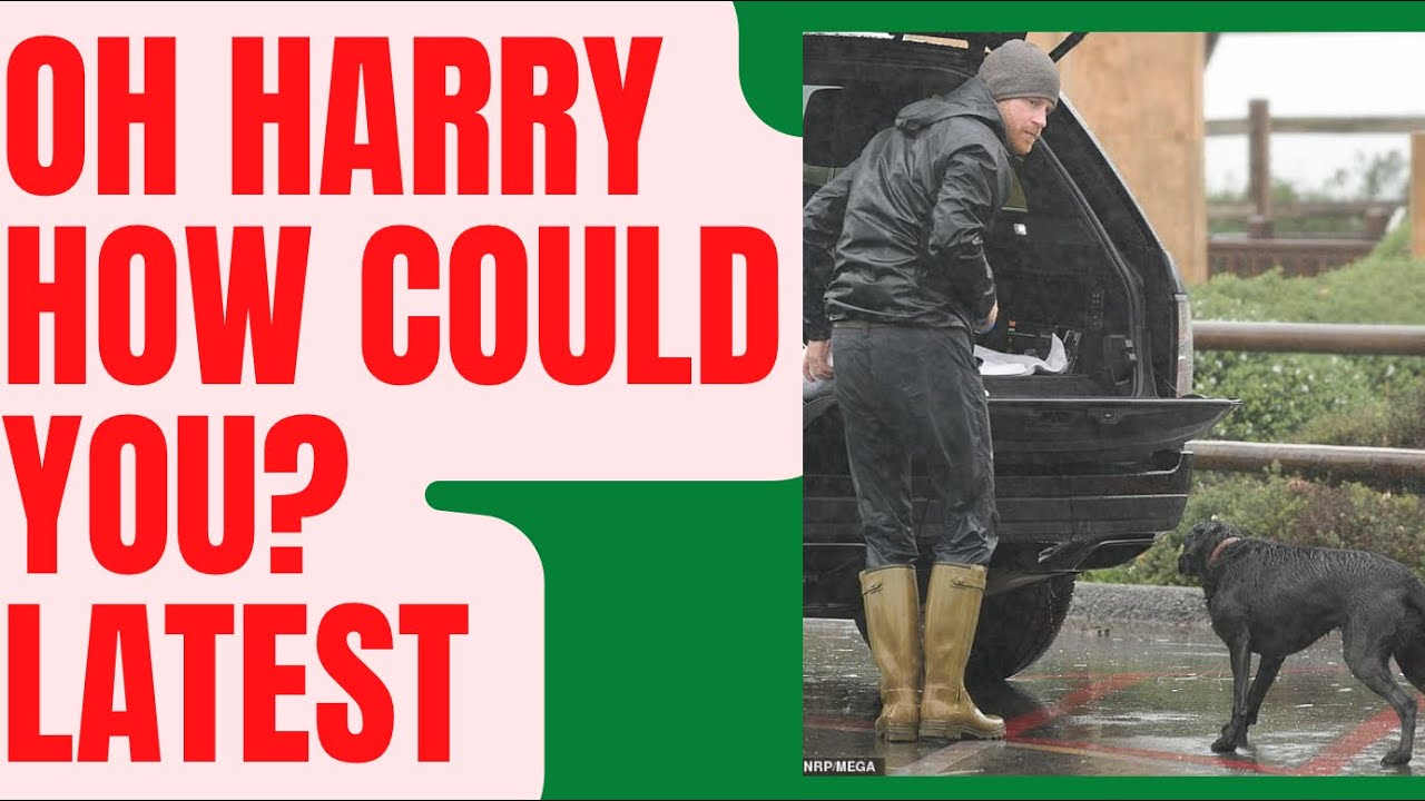 OH HARRY - REALLY HOW COULD YOU DO THIS? LATEST #princeharry # ...