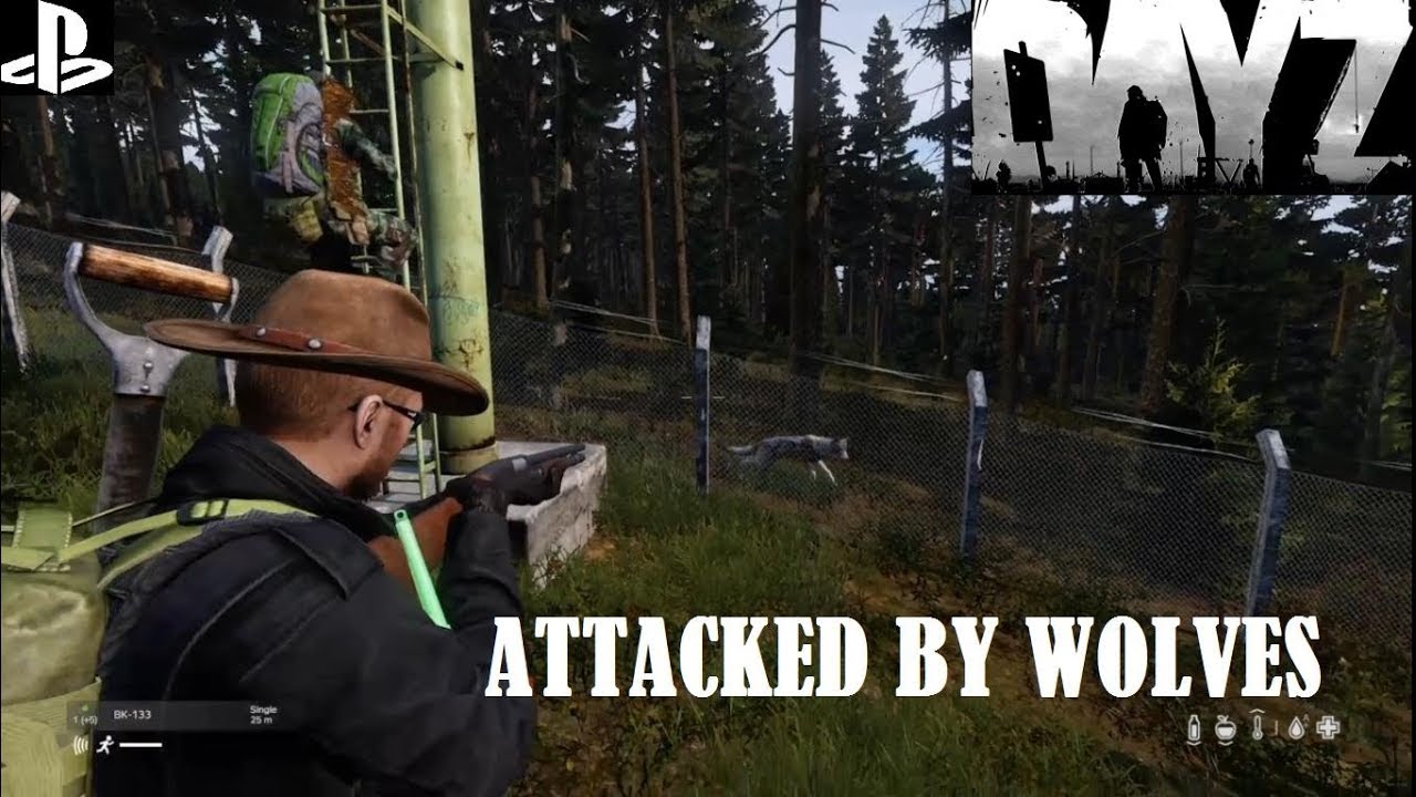 ATTACKED BY WOLVES | DAYZ PS4 | ZOMBIES VS WOLVES - YouTube