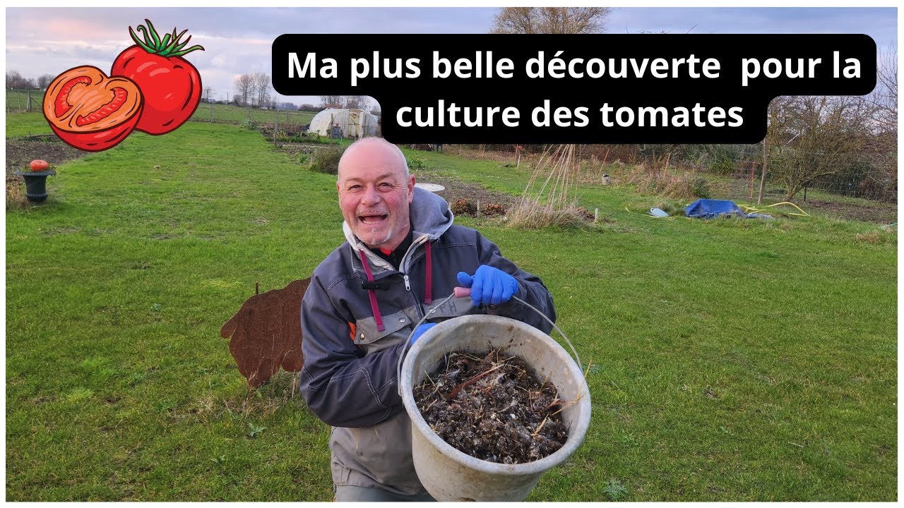 Quelle est ma plus grande découverte sur La culture des 🍅 :les fientes ...