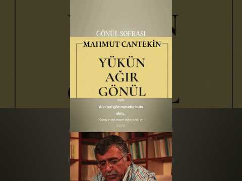 GÖNÜL SOFRASI  2