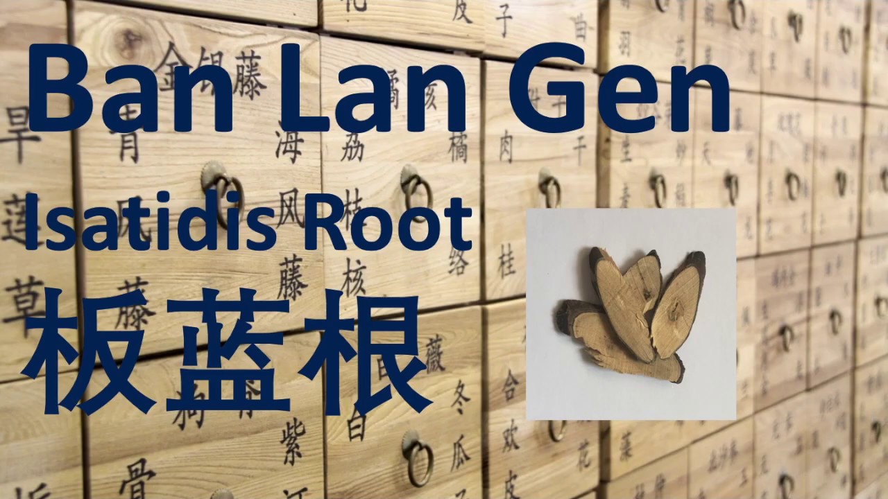 43 Chinese Herbal Medicine, Traditional Chinese Medicine, Herb - Ban ...