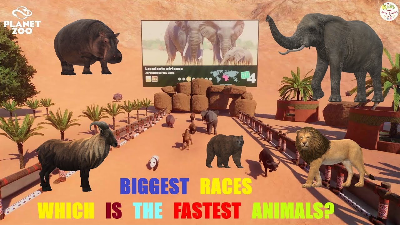 ANIMALS RUNNING RACES IN PLANET ZOO/ELEPHANT, PANDA, BUFFALO, BISON ...