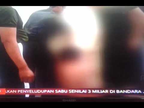 Pria bugil di depan istana ternyata baru habis nyabu
