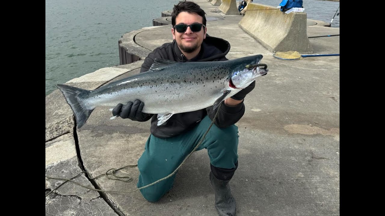 Michigan Spring Pier Salmon Fishing, Catching a Trophy Salmon! - YouTube
