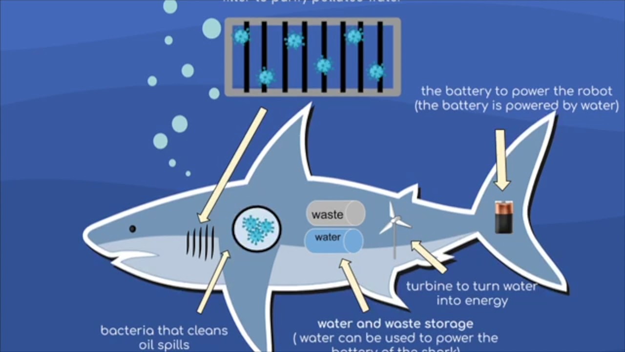 Water Pollution | Middle | River Trail | Bright Spark Summer Invention ...