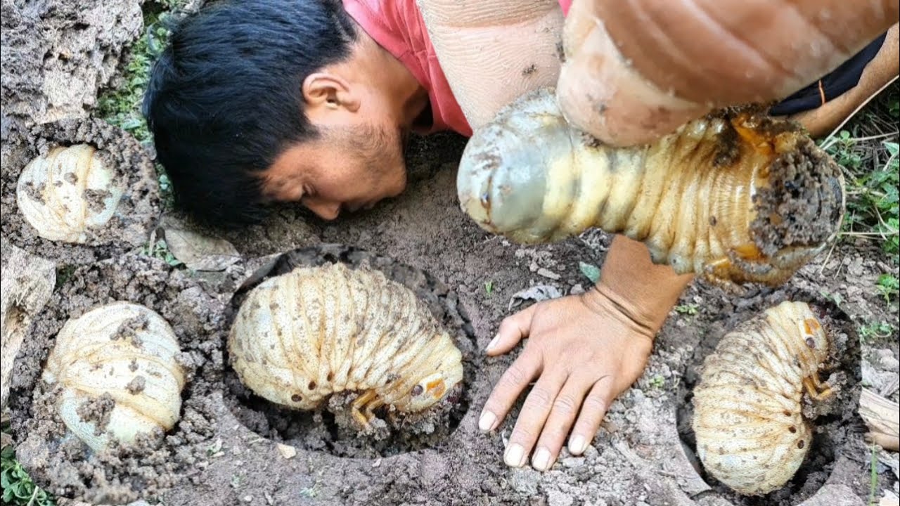 Worms hunter, catch worms - YouTube