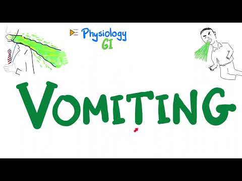 What Organ System Is Responsible For Vomiting And Diarrhea