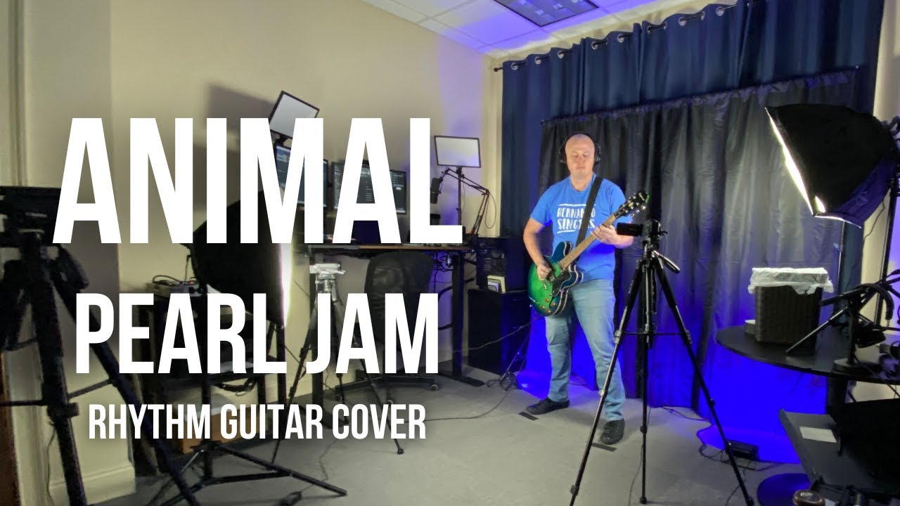 Animal by Pearl Jam | Rhythm Guitar Cover - YouTube