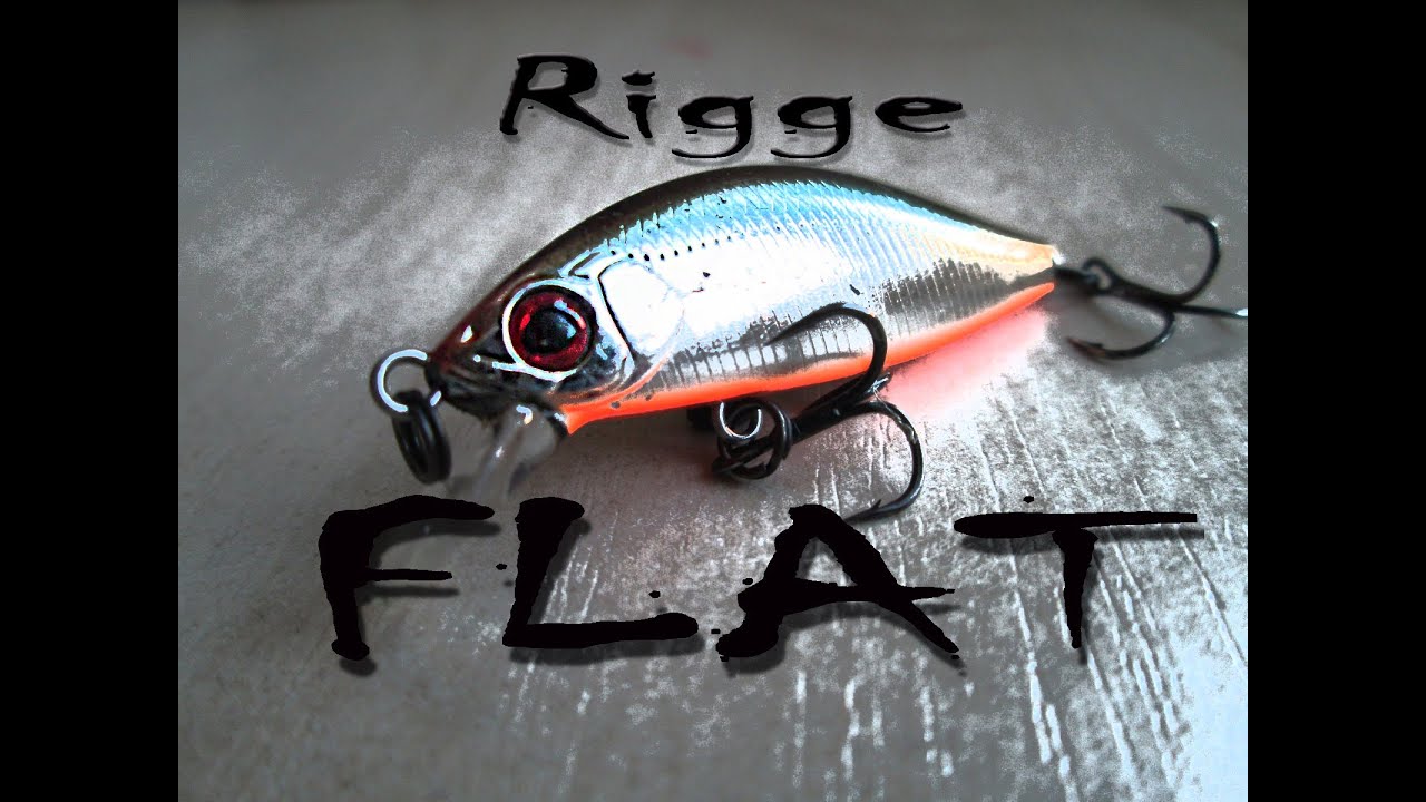 ZipBaits Rigge FLAT 45 S. Береговая рыбалка ! - YouTube