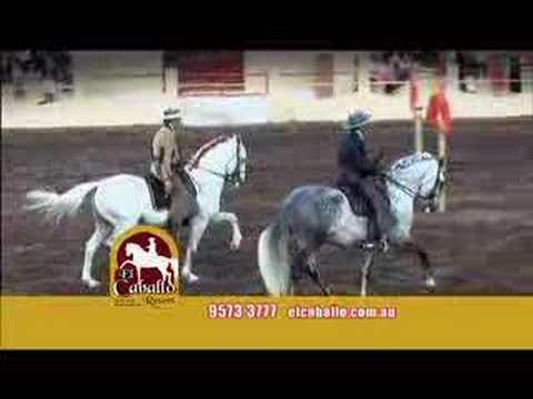 El Caballo Dancing Stallions - YouTube