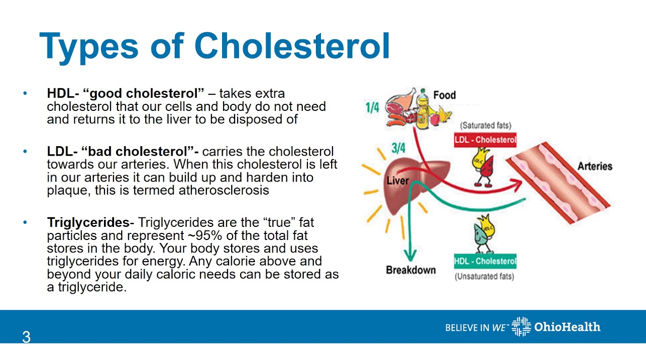Risk Factors Part 2: Cholesterol - YouTube