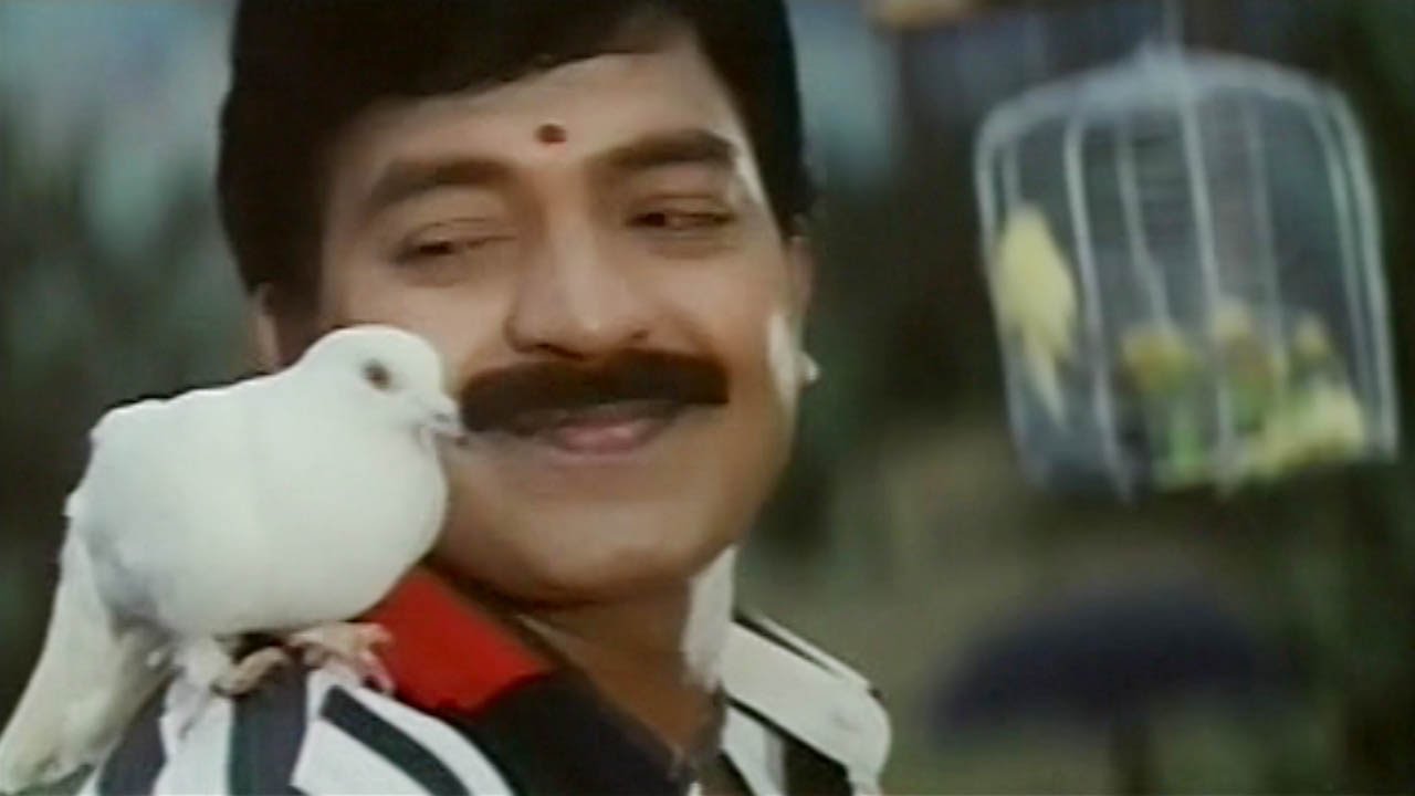 Gubu Gubu Video Song || Amma Koduku Movie || Ilayaraja, Rajasekhar ...