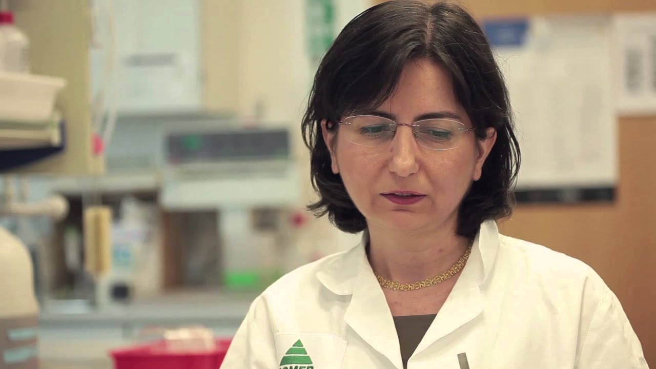 Biotechnologie: FEMtech Expertinneninterview mit Parisa Ansari Eshlaghi ...