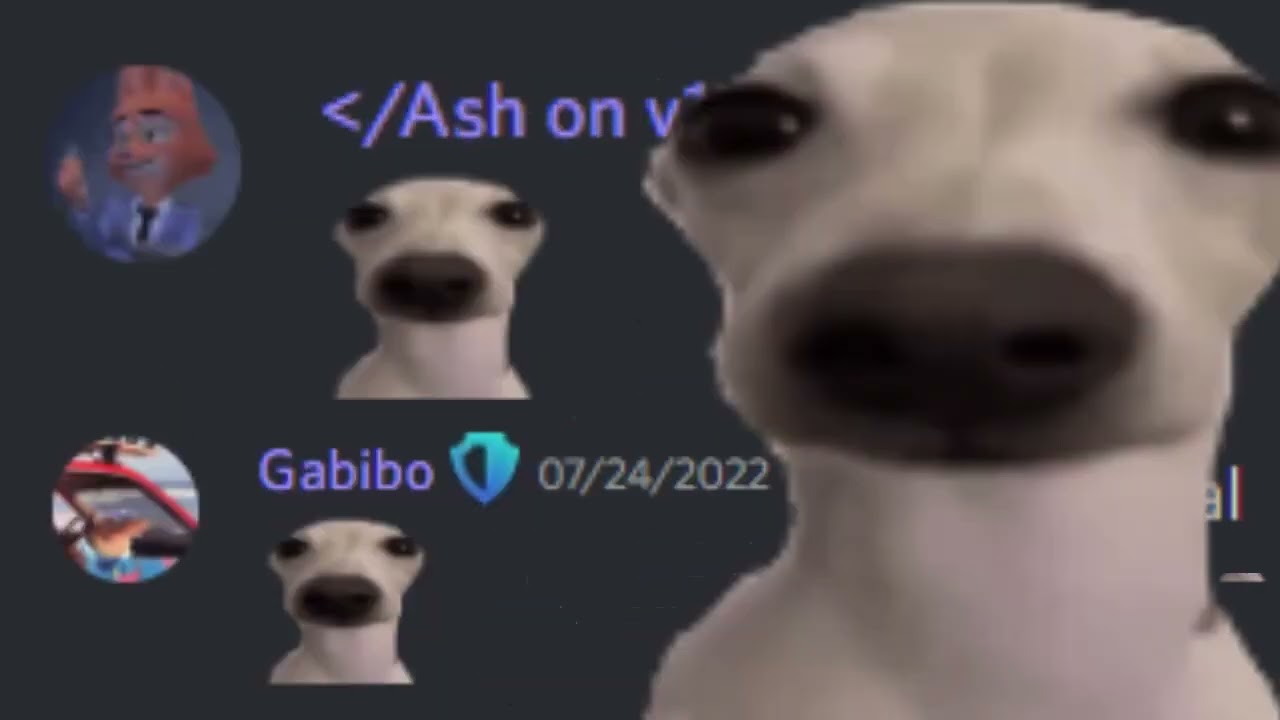 IGP in a nutshell - YouTube