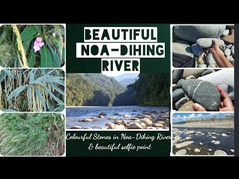 Colourful Stones in Noa-Dihing River|Natural view point in Miao River ...
