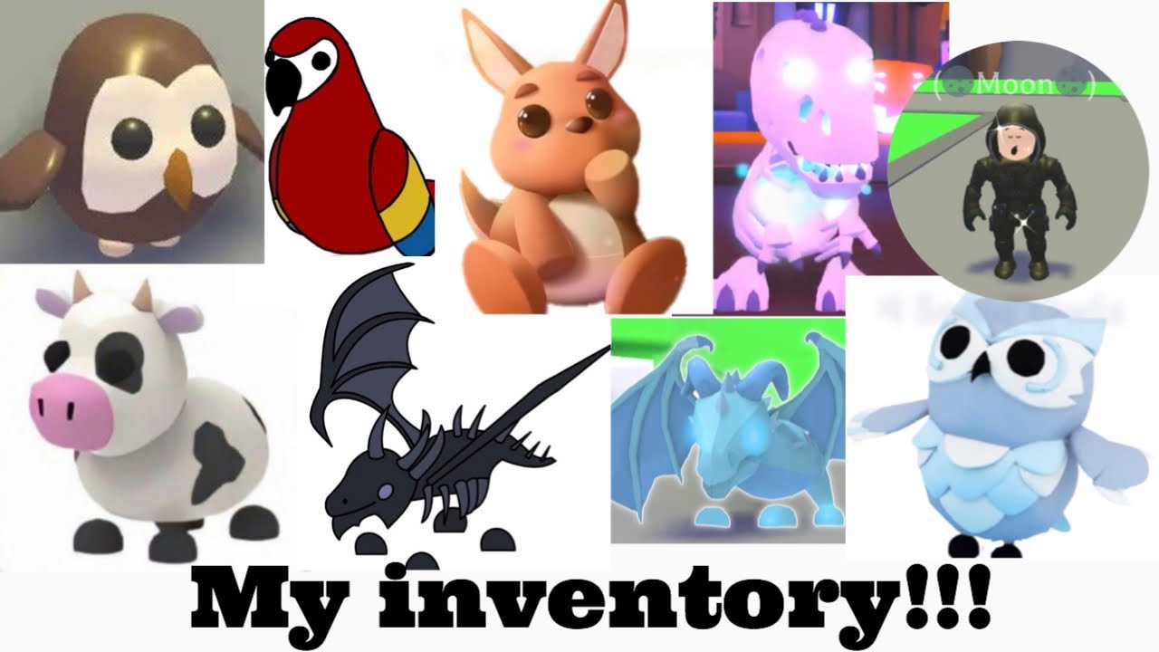 Adopt Me Pet Inventory (April/2021) - YouTube