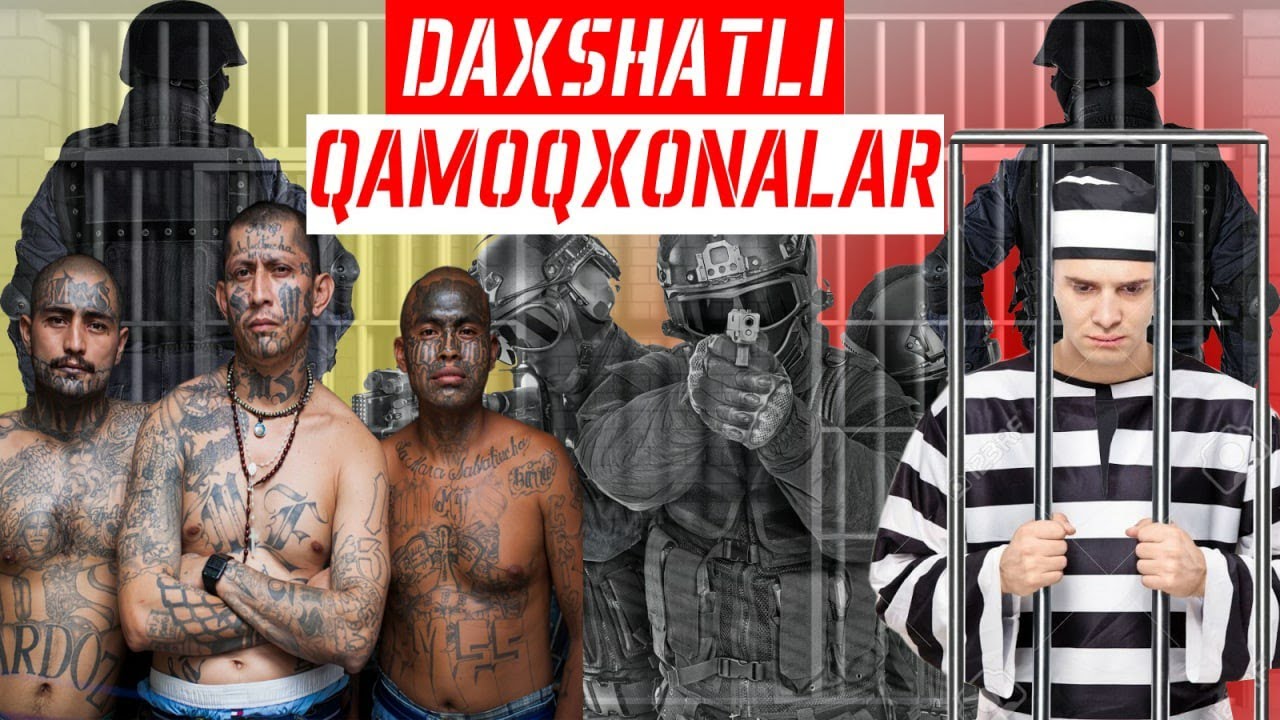 QO`RQINCHLI QAMOQXONALAR TOP 10 \\ ENG DAXSHATLILARI HAMMA KO`RSIN ...