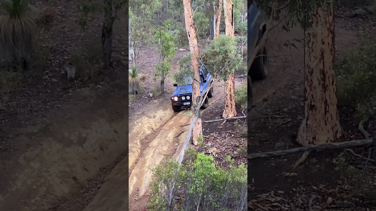 Julimar state Forrest Trek in Winter - YouTube