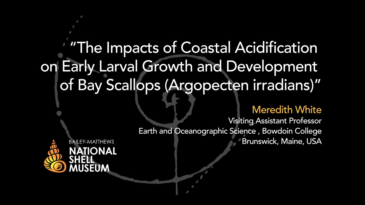Mollusks in Peril — The Impacts of Coastal Acidification on Early ...