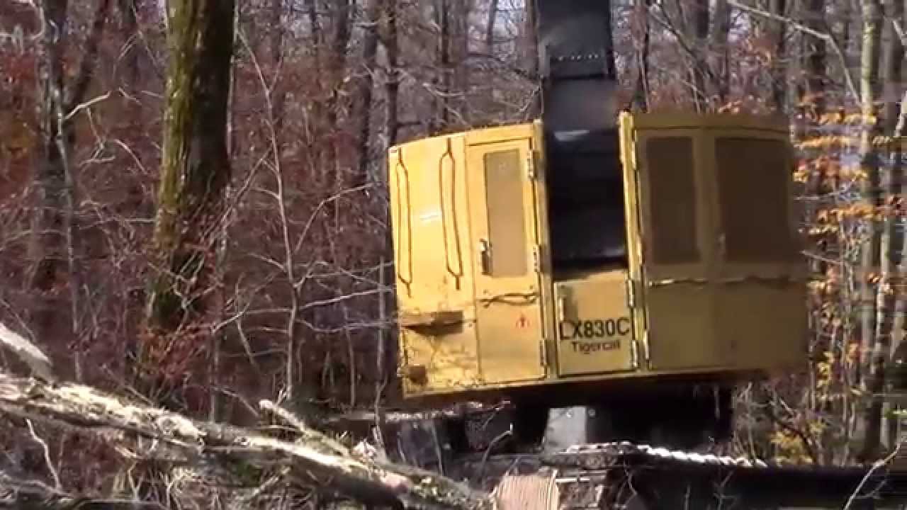 Tigercat LX830C Feller Buncher w/Risley Rolly II Processing Head - YouTube