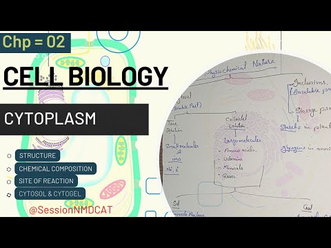 Class:11 | CYTOPLASM | What is Cytoplasmic Cavity? || CYCLOSIS ! - YouTube