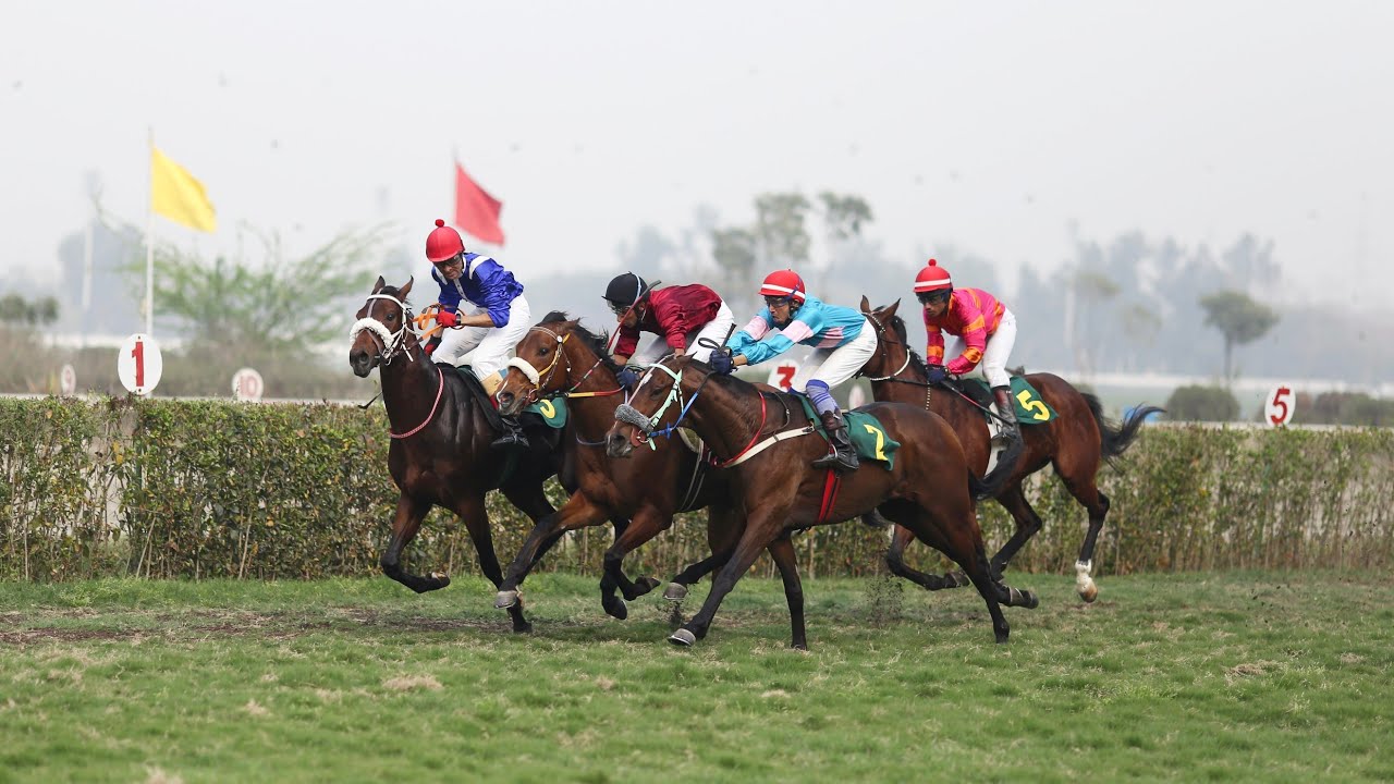 5th Race The Trace Hit Cup Distance 1000 Meters Winner Parsian Pearl ...