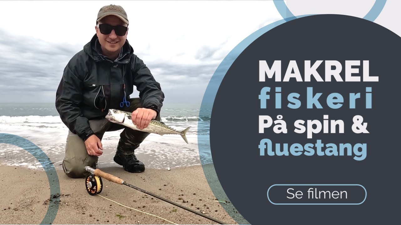 Makrel fiskeri august, på fluestang og spinnestang, hvad fanger man ...