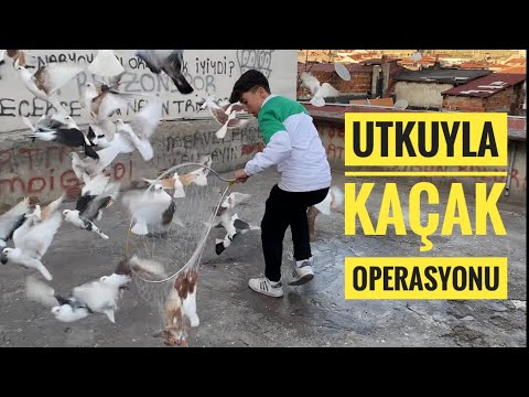 UTKUYLA BERABER KAÇAK BASKA OPERASYONU YAPIYORUZ UTKU KAÇAK YAKALAMAYI UNUTMUŞ YAKALAYA BİLDİMİ??