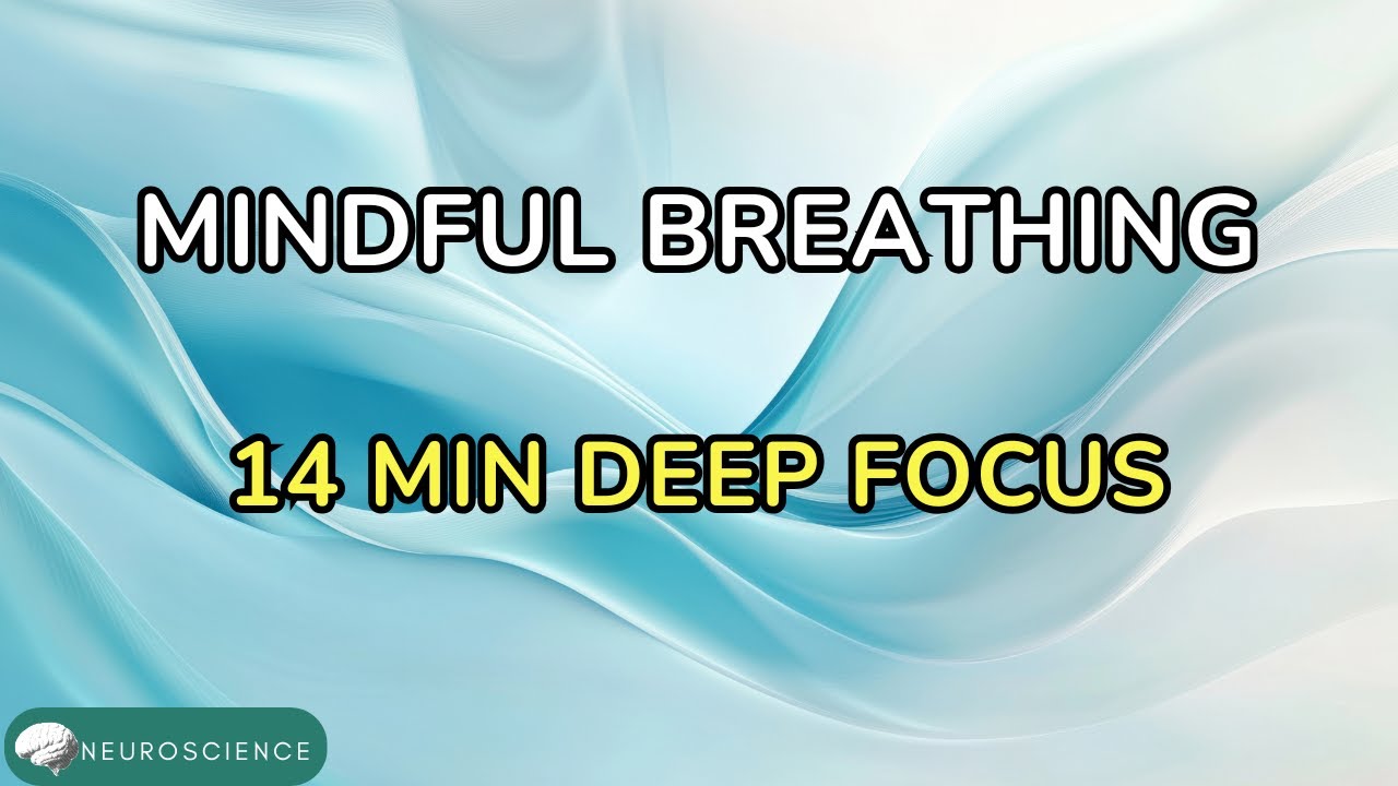 14 Minute Deep Breathing Meditation Intermediate Build Concentration ...