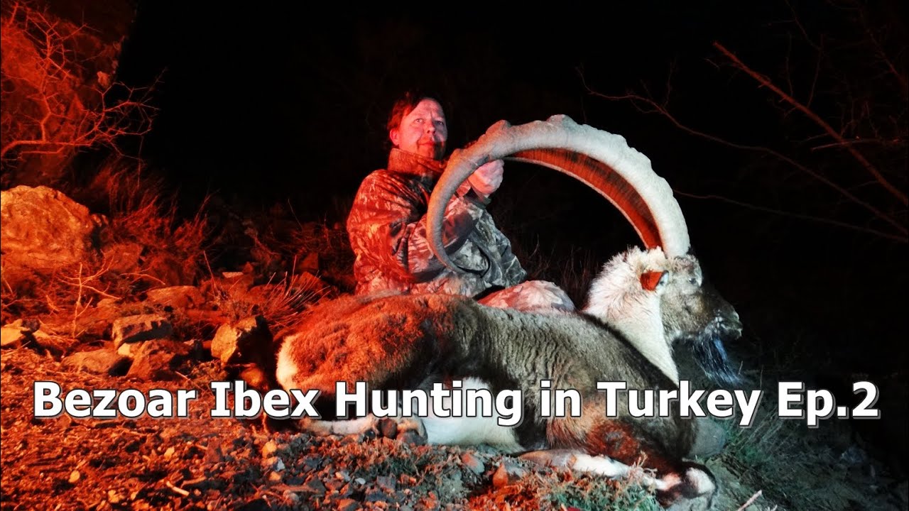 Bezoar Ibex Hunting in Turkey Ep.2 - YouTube