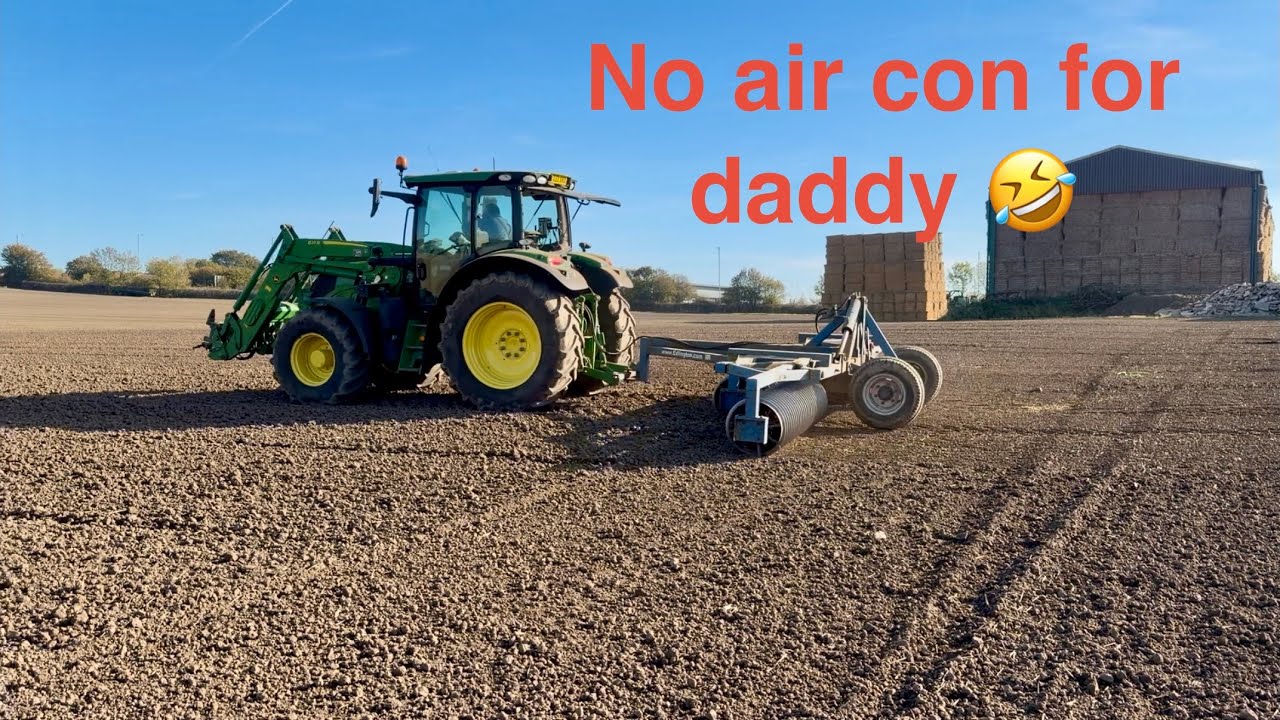 Neighbours…. 🙈🙈🙈🙈 Roger’s helping me with the cows!! - YouTube