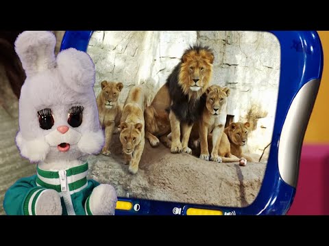 ✨СПОКОЙНОЙ НОЧИ, МАЛЫШИ!✨ Царь зверей + мультфильм Юху и его друзья