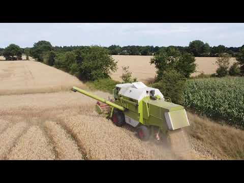 Triticale Dreschen, Claas Dominator 96, Case IH MX 110, 2022 - YouTube