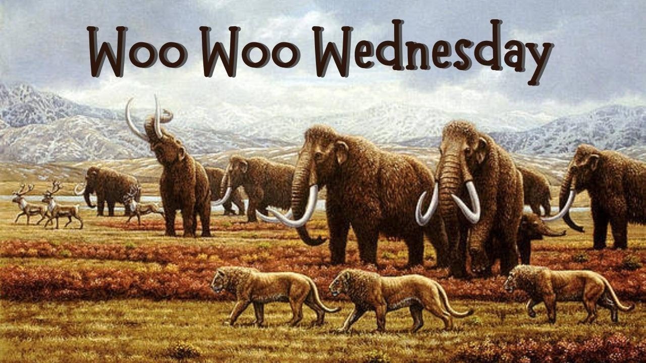 Woo Woo Wednesday - YouTube