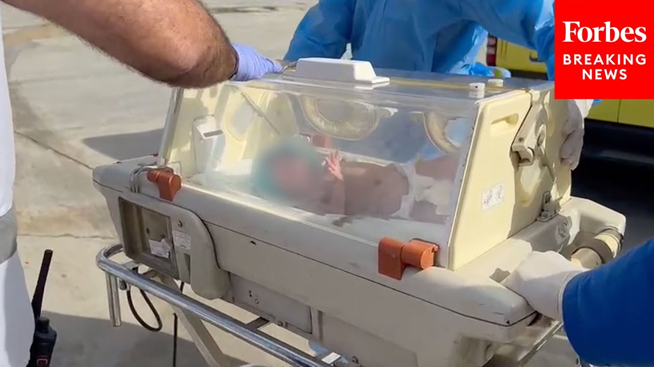 WATCH: 26 Neonatal Babies Arrive In Egpyt From Gaza Strip Through The ...