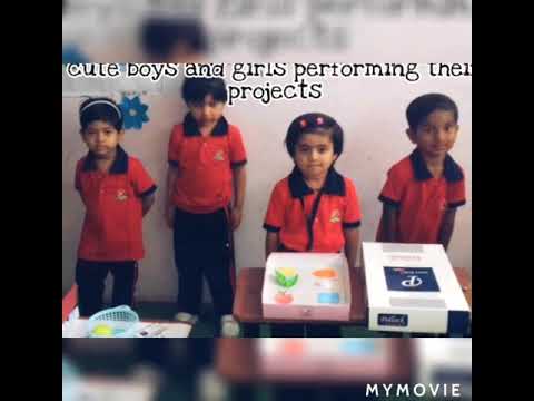 science fair of galaxy english school - YouTube