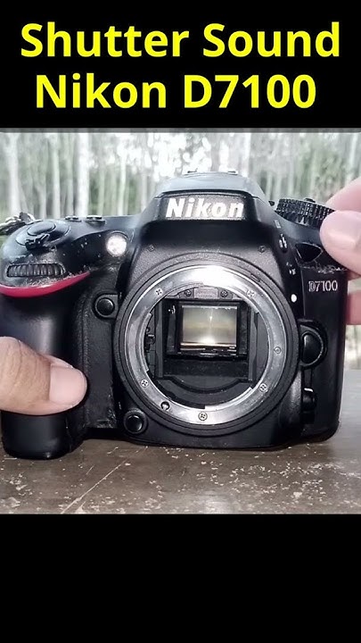 Shutter Sound Nikon D7100 - YouTube