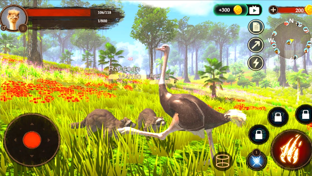 Ostrich VS Goat, Fox, Rat, Deer, Rabbit - YouTube