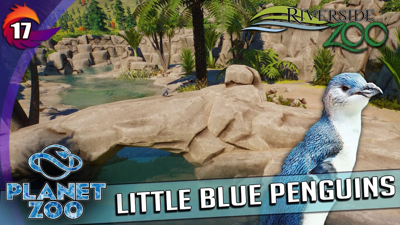Little Blue Penguins | Riverside Zoo Ep. 17 | PLANET ZOO: Oceania DLC ...