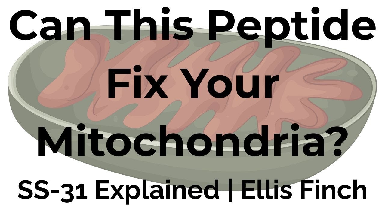 SS-31 Peptide Explained: The Mitochondrial Antioxidant Changing ...