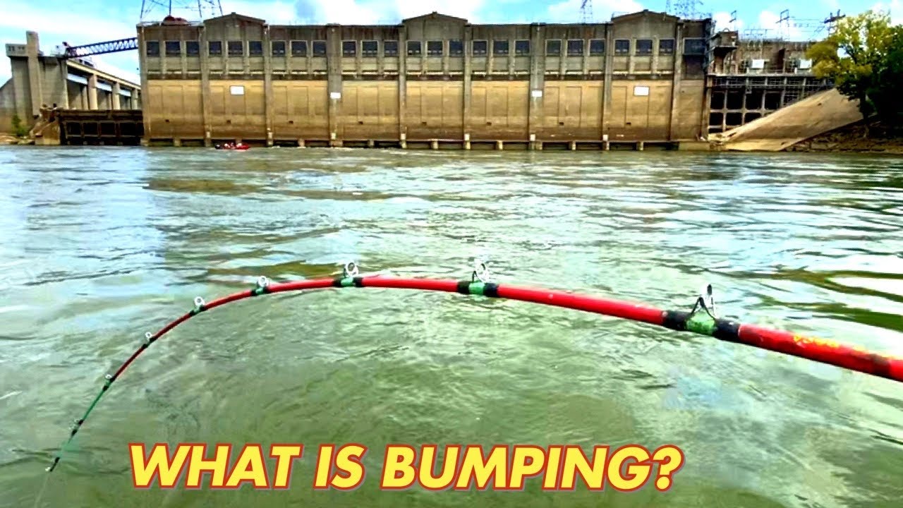 How To Bump/Walk Baits for Beginners. A Very Affective Technique for ...