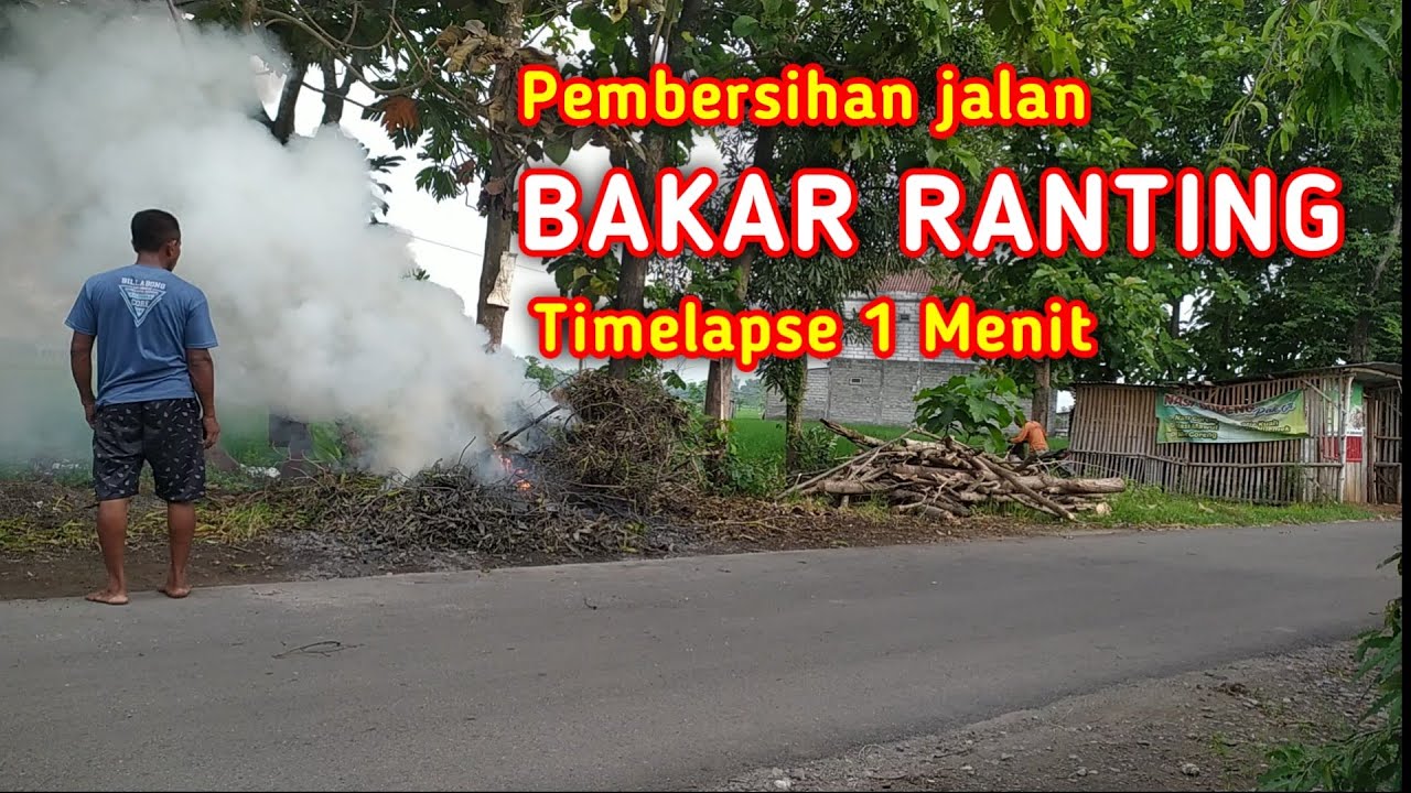 Pembersihan Ranting Pohon di Pinggir Jalan: Timelapse 1 Menit - YouTube