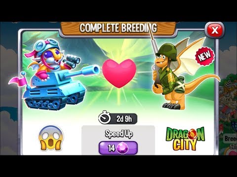 Dragon City: Tank Dragon vs Soldier Dragon [EXCLUSIVE BREEDING] 😱 - YouTube