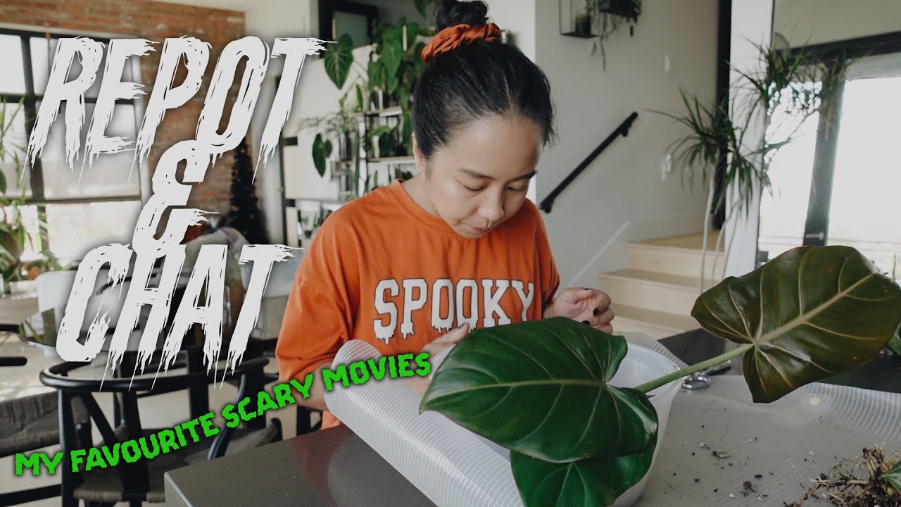 repot & chat #013 - six of my favourite scary movies! - YouTube