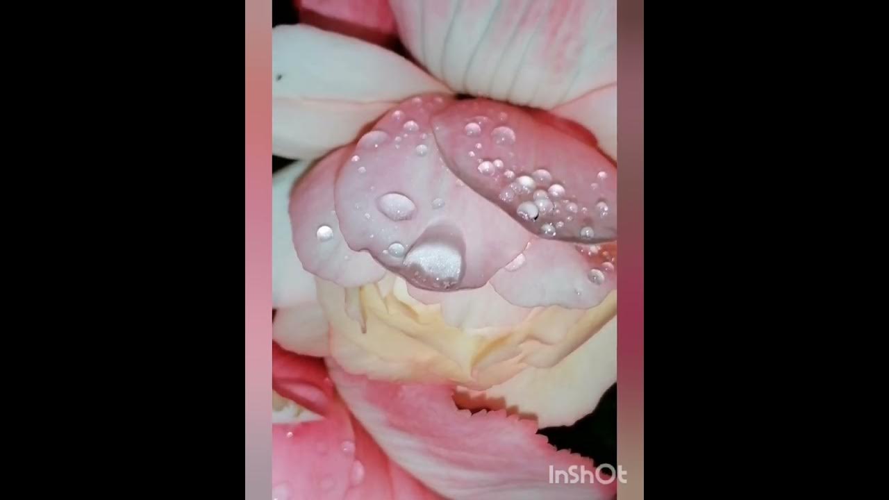 Ночная романтика 💖 - YouTube