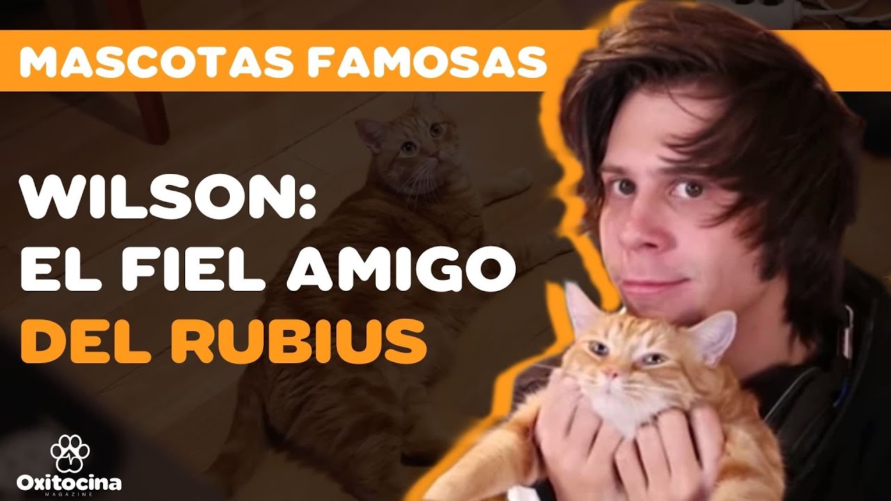 6 cosas que debes saber sobre Wilson: El fiel amigo de Rubius - YouTube