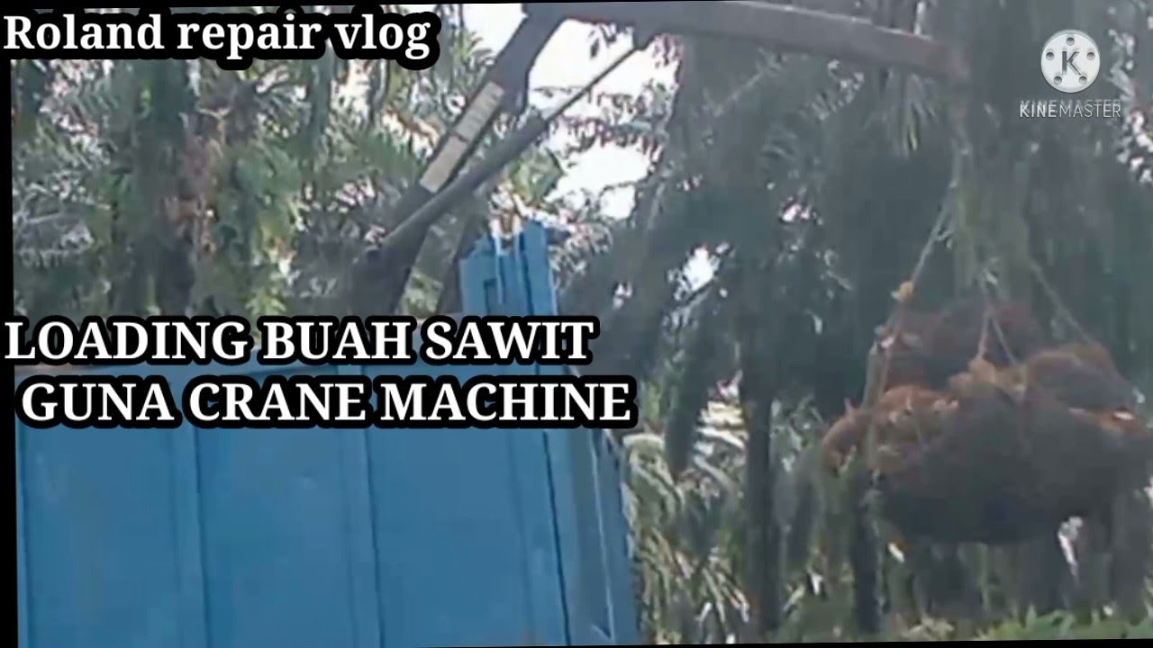 Loading buah kelapa sawit guna masin crane, Roland repair vlog - YouTube