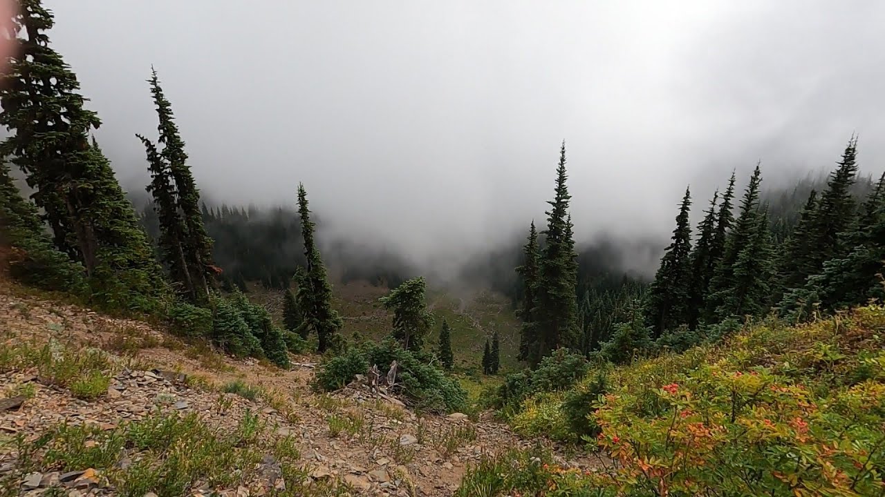 Ragnar Trail Rainier 2021 Yellow Leg - GoPro Hero 9 Black Time Warp ...